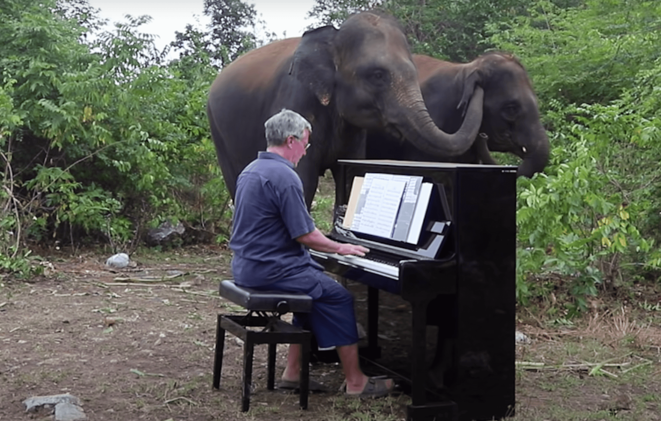 Interspecies Music - Emma Laurence